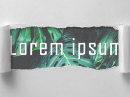 Lorem Ipsum Generatoren und Blindtext Alternativen im Überblick