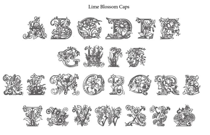 Initial: Wann und wie wird es im Layout richtig eingesetzt?