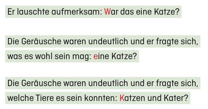 Der Doppelpunkt: Wir zeigen den korrekten Einsatz